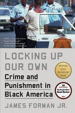 Locking Up Our Own book cover