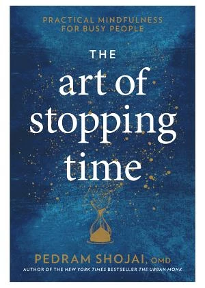 The Art of Stopping Time book cover