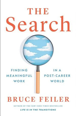 The Search book cover