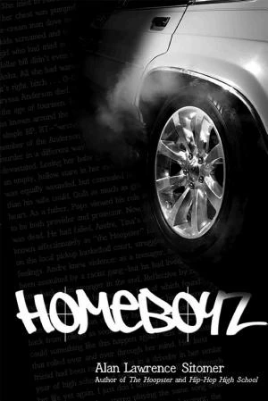 Homeboyz book cover