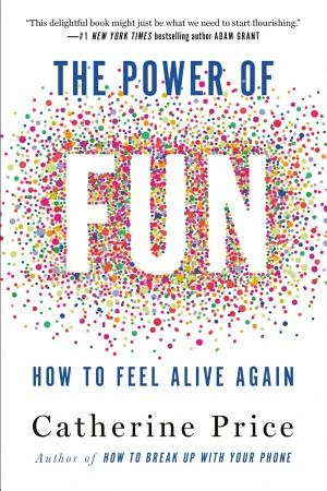 The Power of Fun book cover