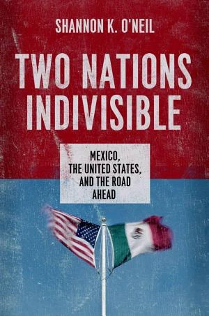 Two Nations Indivisible book cover