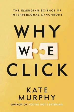Why We Click book cover