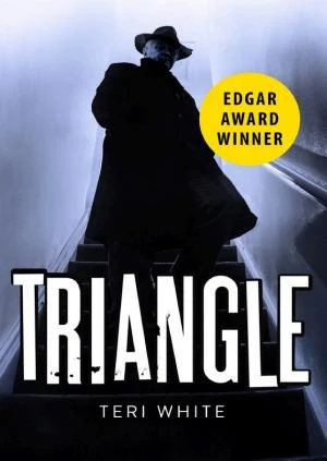 Triangle book cover